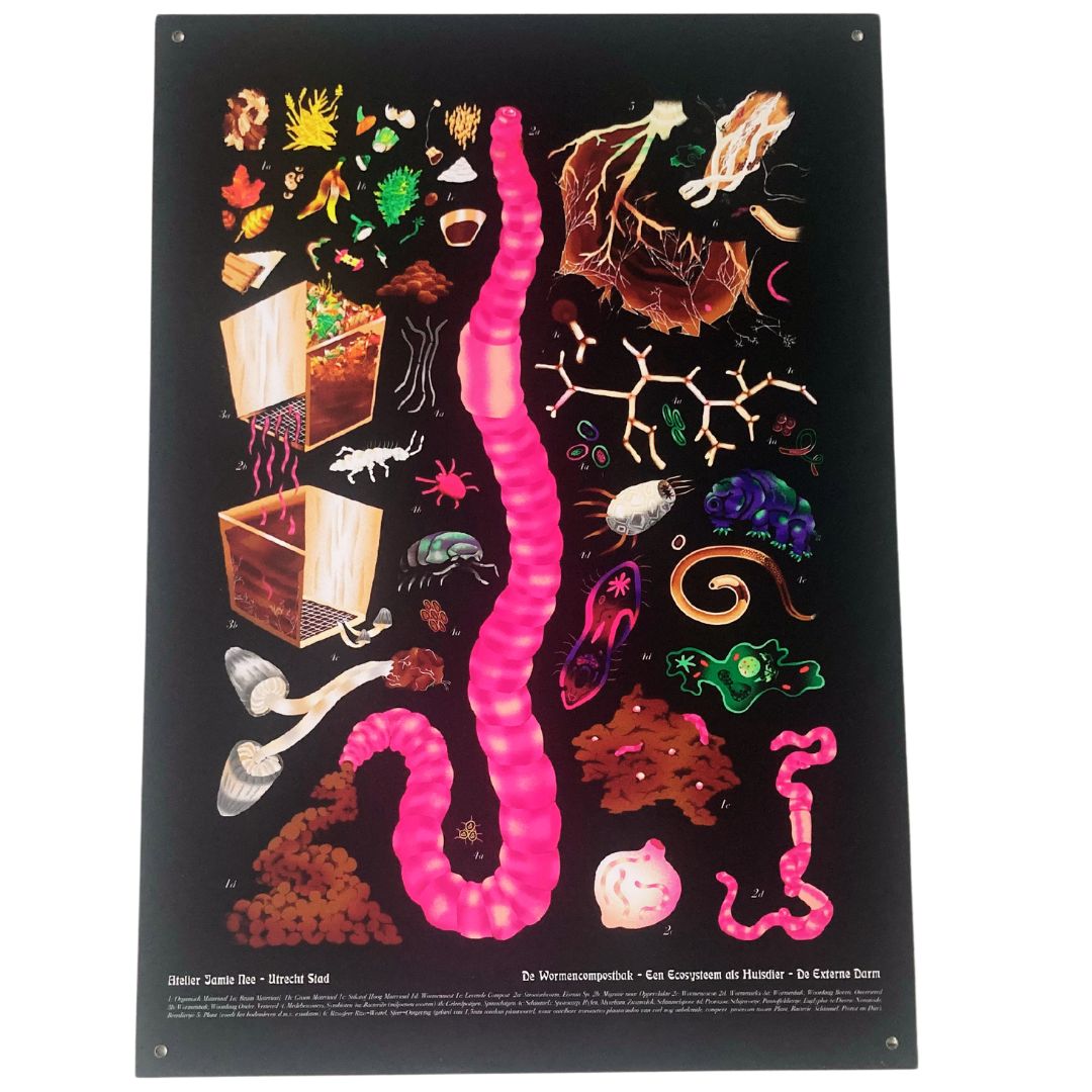 Kaart Wormen Composteren en Bodemleven Atelier Jaimienee