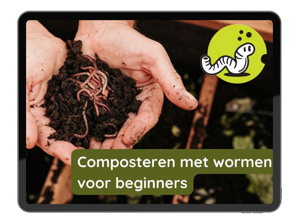 Wormenhotel maken DIY